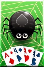 Random Salad Games » Test Store Capabilities (Simple Spider Solitaire)